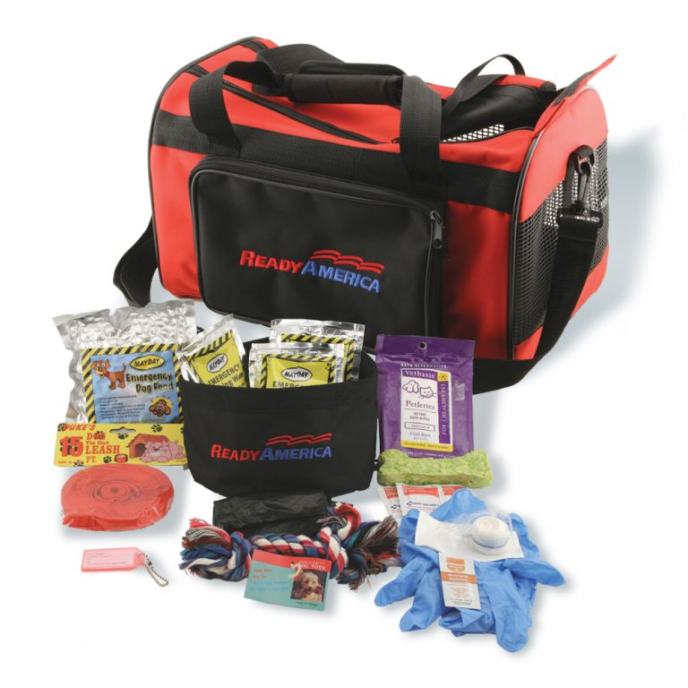 Disaster Preparedness Program – By Ready America and AAA